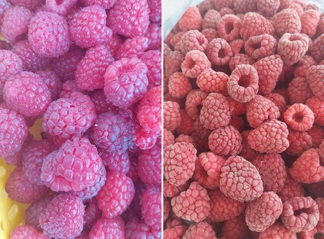 "By the end of October, around 20,000 tons of frozen raspberries from ...