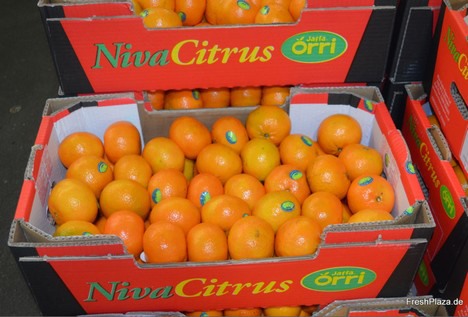 "Israeli Orri clementines are about 3-4 euros per package above last ...