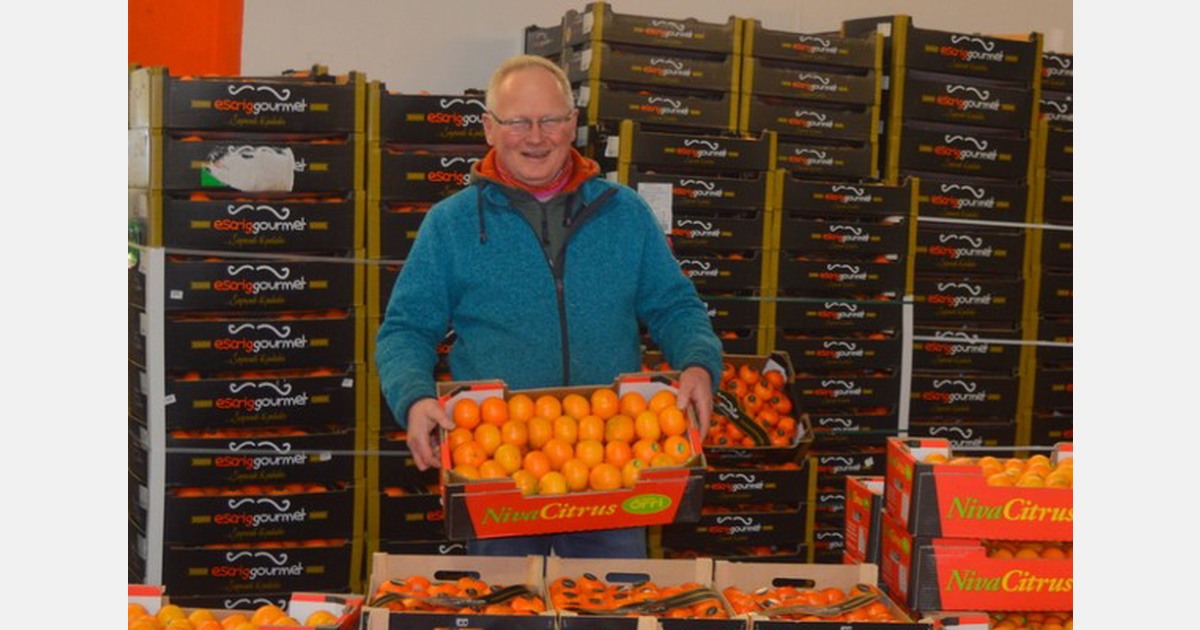 "Israeli Orri clementines are about 3-4 euros per package above last ...