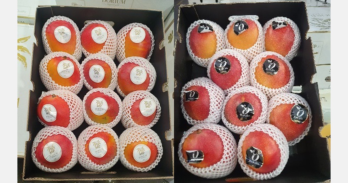 Balanced supply volumes of air-freighted Peruvian mangoes