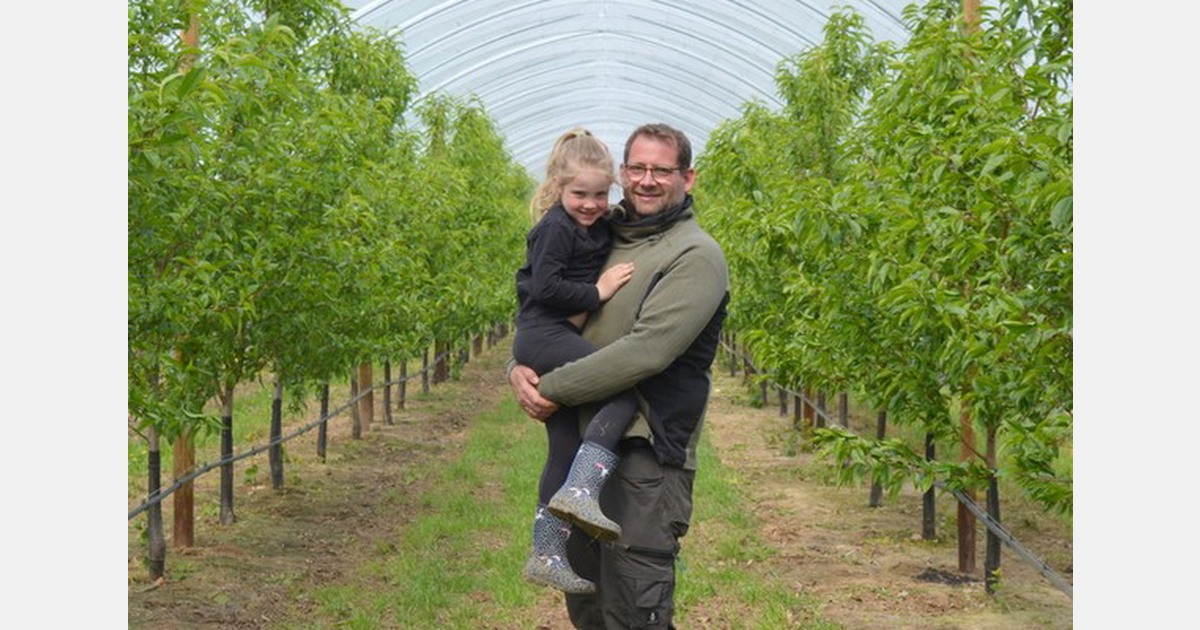 "Despite the high risk of frost, we will harvest our first marketable ...