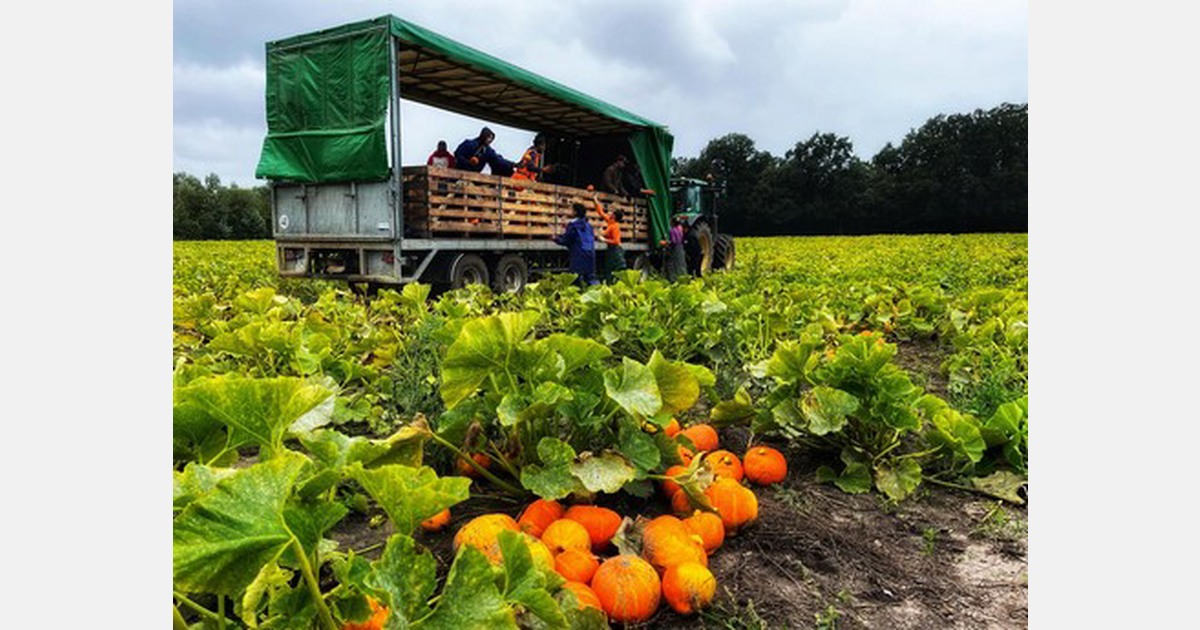 "Thanks to investments in processing and storage technology, we can ...