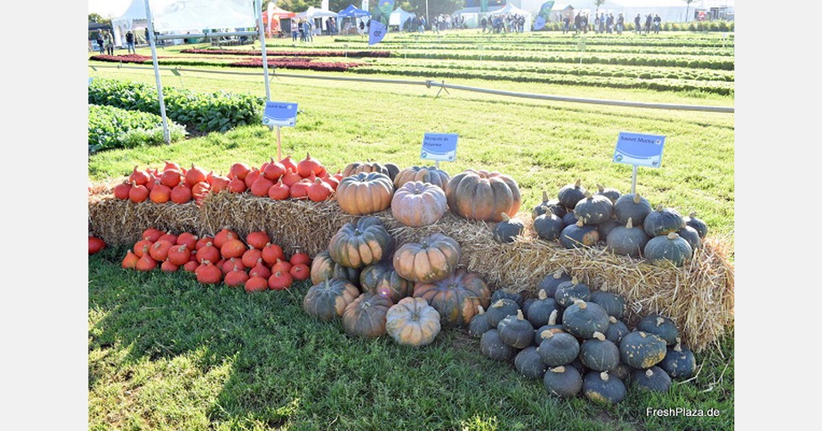 "As a grower, you basically have to know today what's going to happen ...