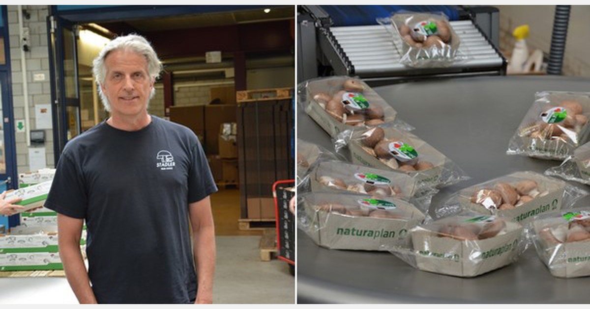 "Customer proximity, quality, service and reliability continue to ...