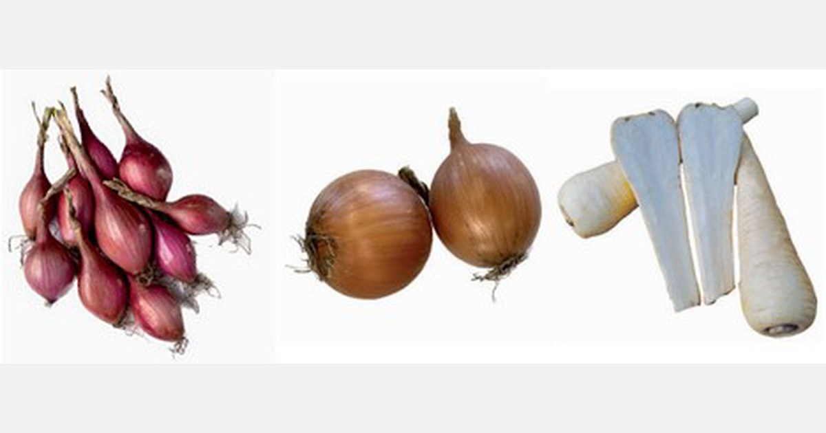 "Italian onion types are increasingly migrating to the north"