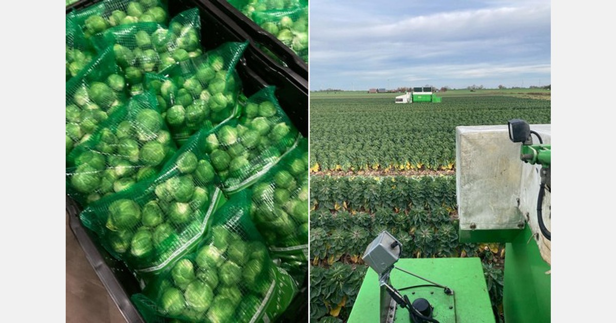 "We are now trying to slow down sales with a price increase"