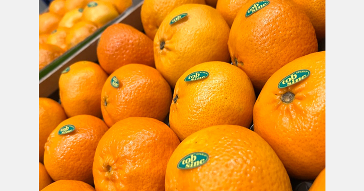 Small calibres and fixed prices for tobsine clementines