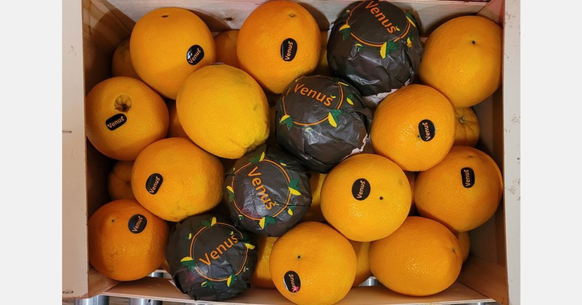 "No oranges have been delivered for three weeks now"