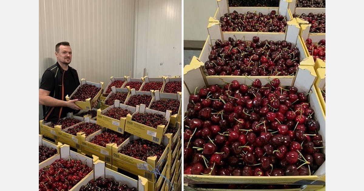 Lorenz Boll: "We should be able to expect a minimum level of ...