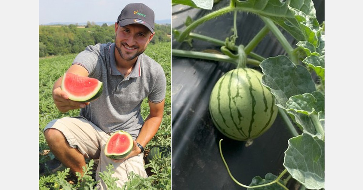 "With our self-grown watermelons, we have a great but extremely volatile product segment"