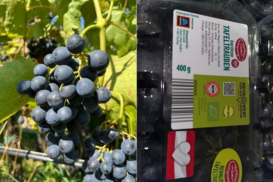"There is a solid and growing market for Austrian organic table grapes"
