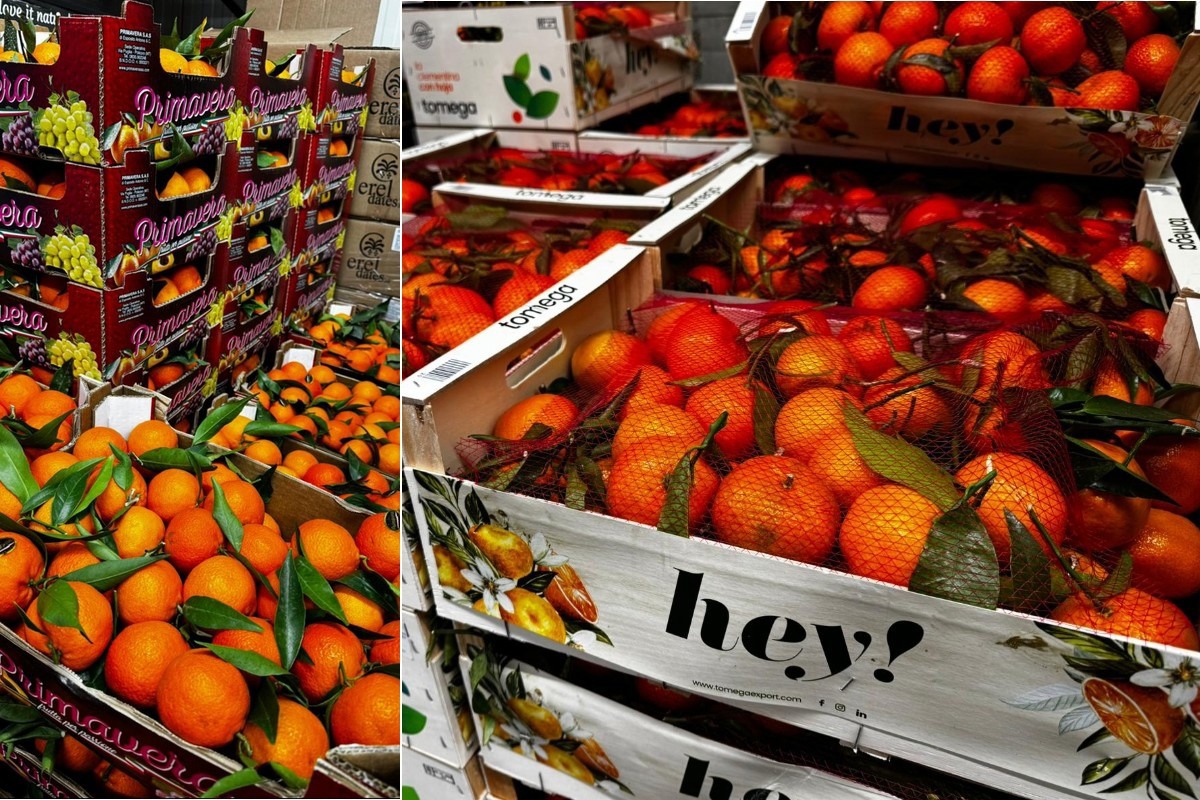 "Availability of Spanish citrus fruit back to normal levels"