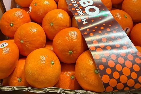 "This year, South African Midknight oranges were available for an ...