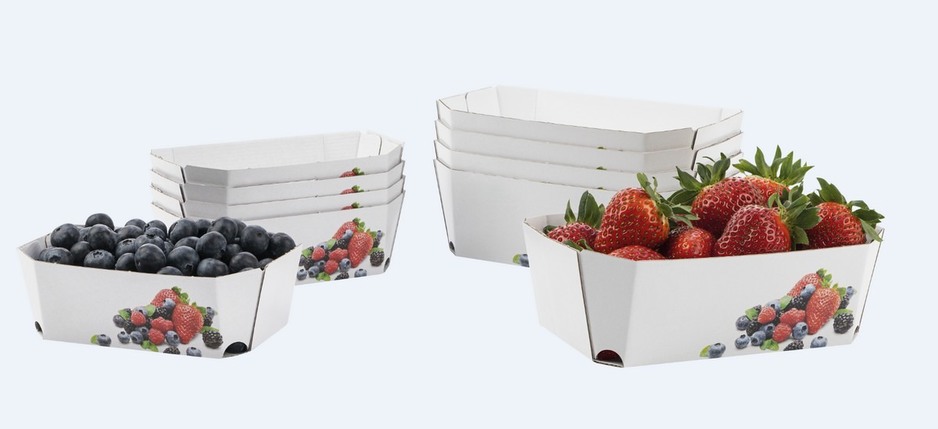 "Custom printed corrugated trays starting at 5,000 pieces"