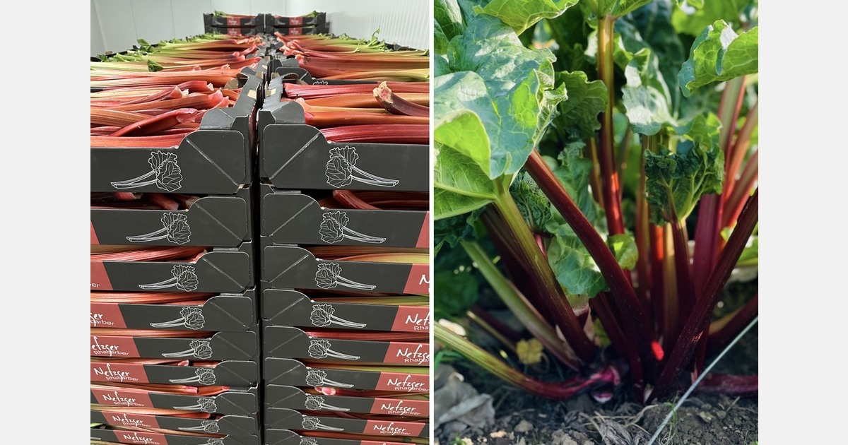 "Entry-level prices up by a third on last year's level"