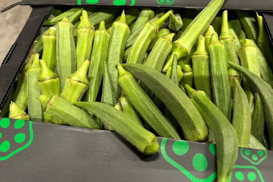 “Ghana has established itself as a reliable year-round producer of okra”