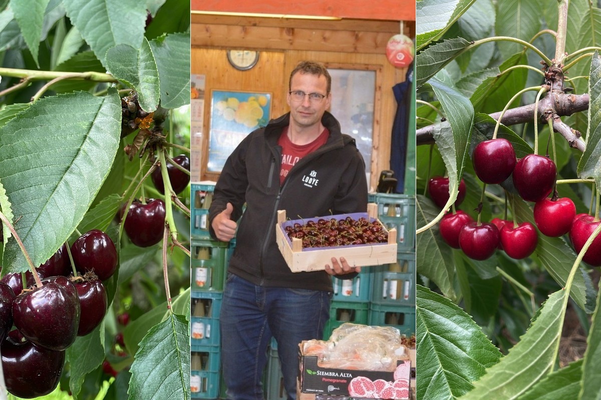 "Unfortunately, we will have few cherries available for shipping ...