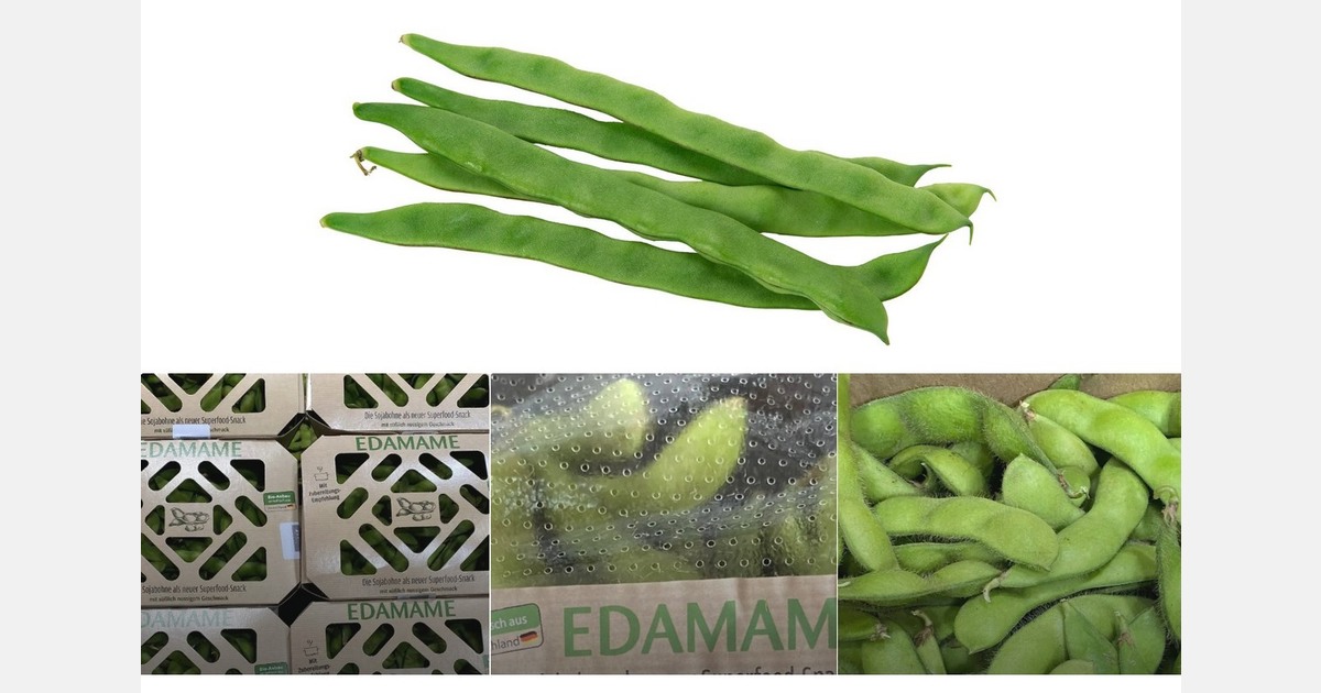 "Bean harvest in full swing, positive development for edamame"