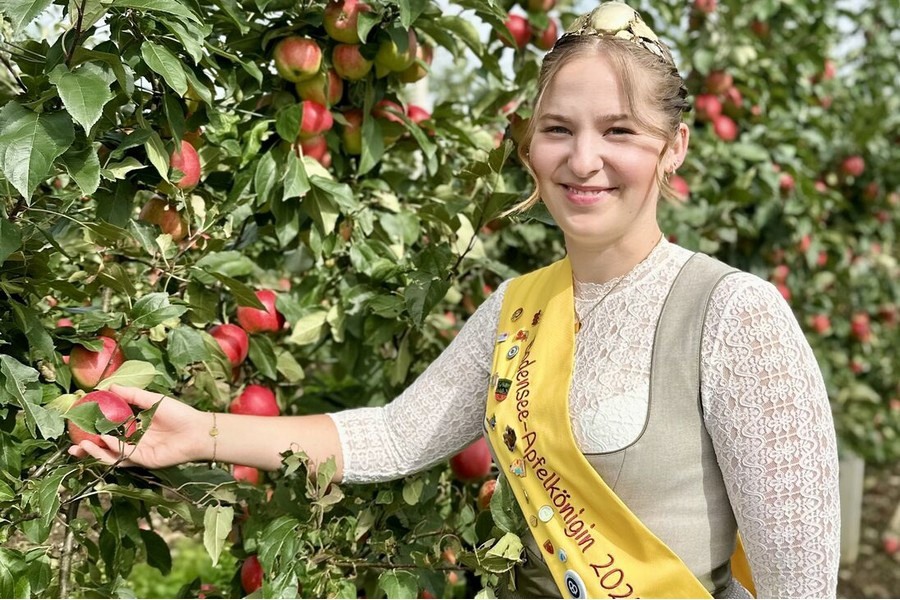 Slight decline expected on Lake Constance, good prospects in the Altes ...