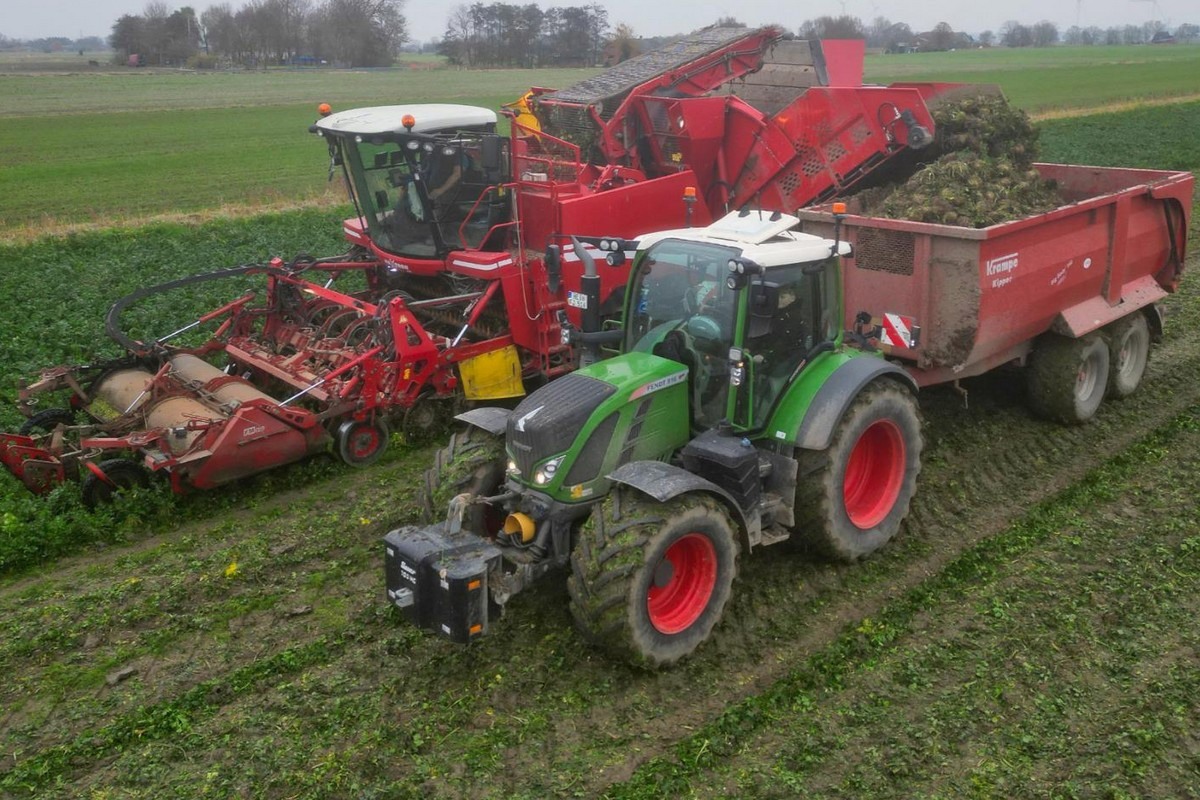 "Growth trend for beetroot continues, weak year for turnips"