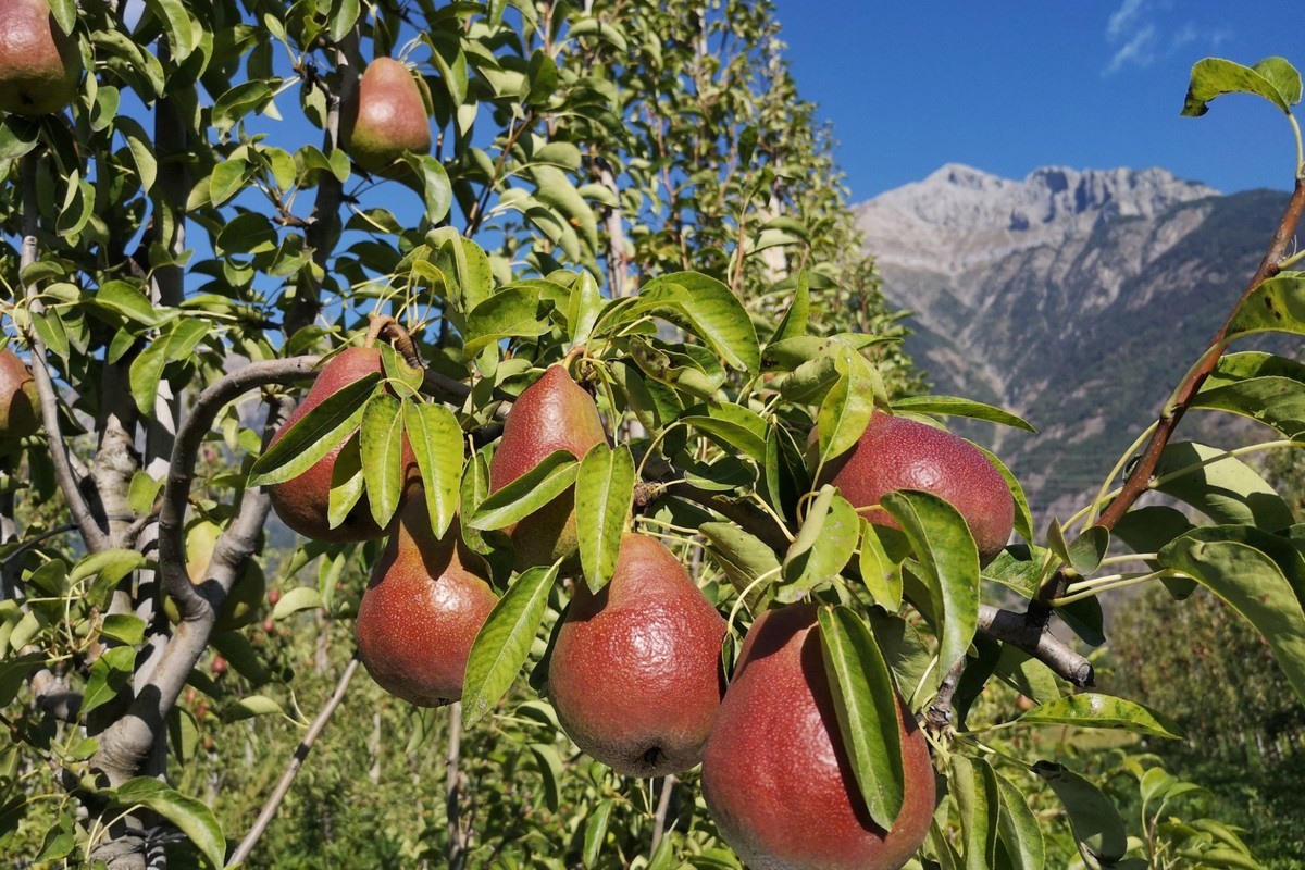 "We are aiming to double the total quantity by 2030"