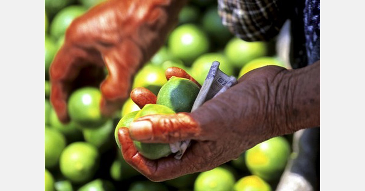 German importer seeks to improve lime trade