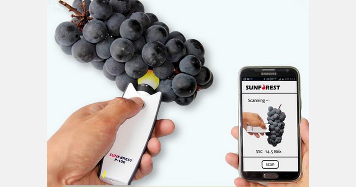 Korean pocketsize fruit scanner to debut in Berlin