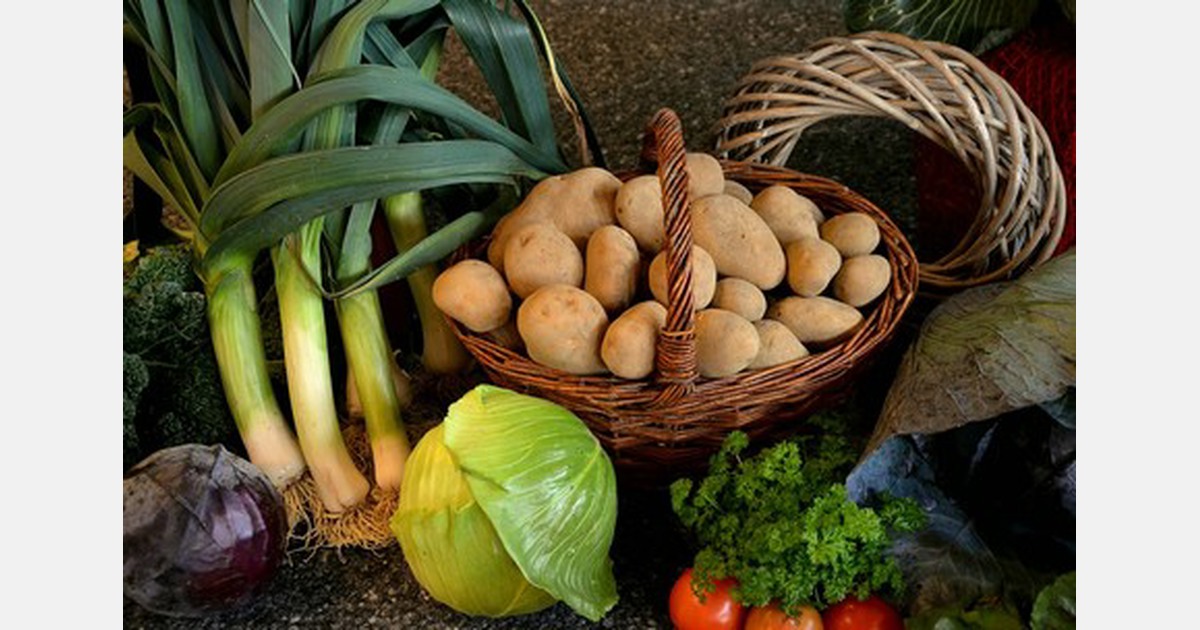 Below average vegetable crop in Austria