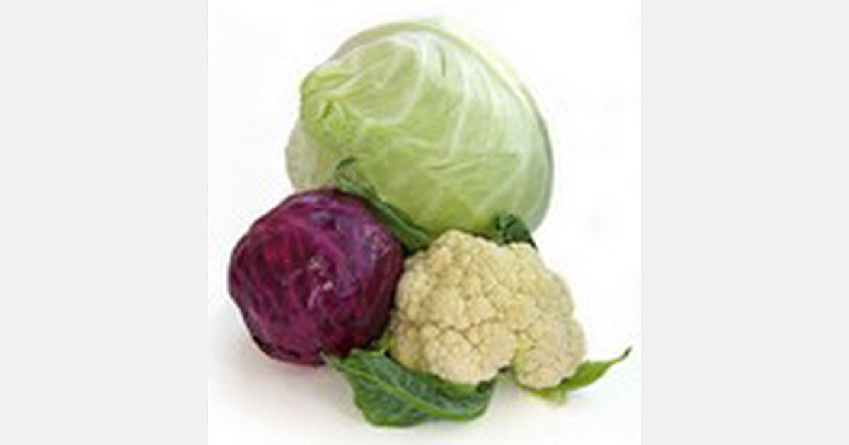 Schleswig-Holstein: fruit and vegetable farmland grows by 2 percent