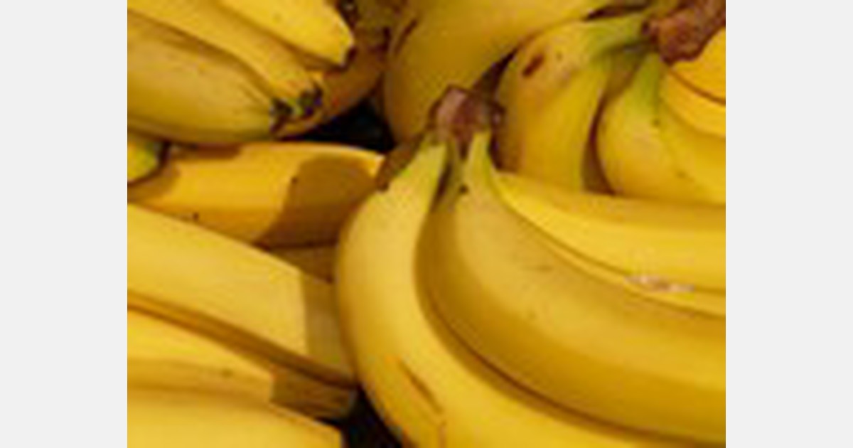 Ecuador: Healthy banana peels - making use of waste products