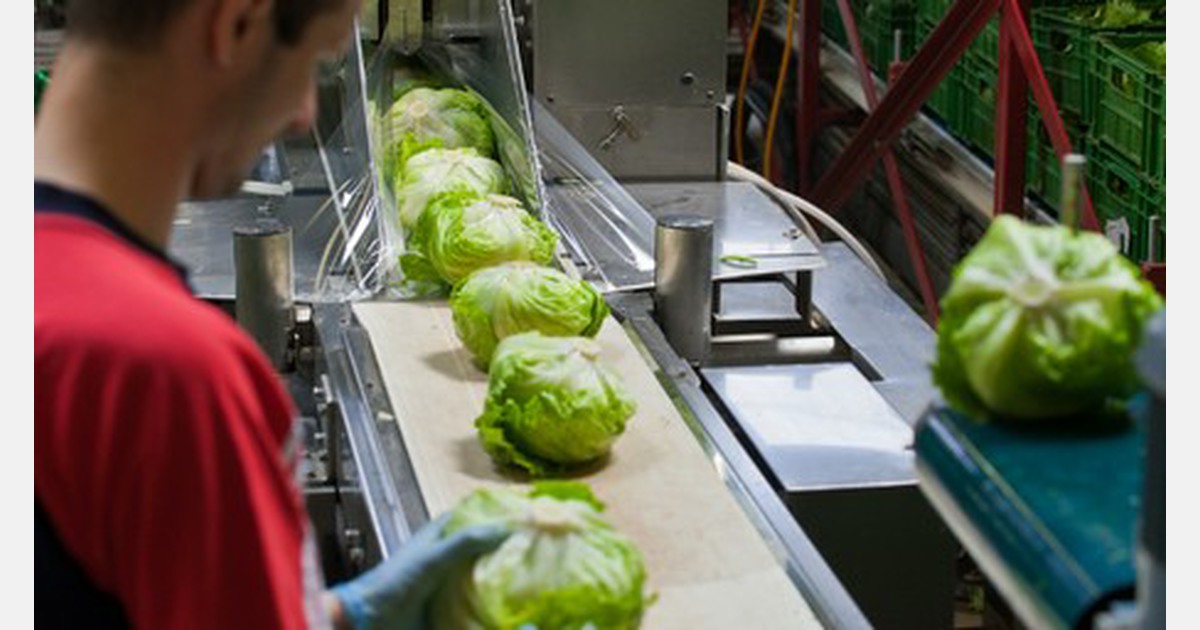 New calculation sheet for storage, packaging and transport costs