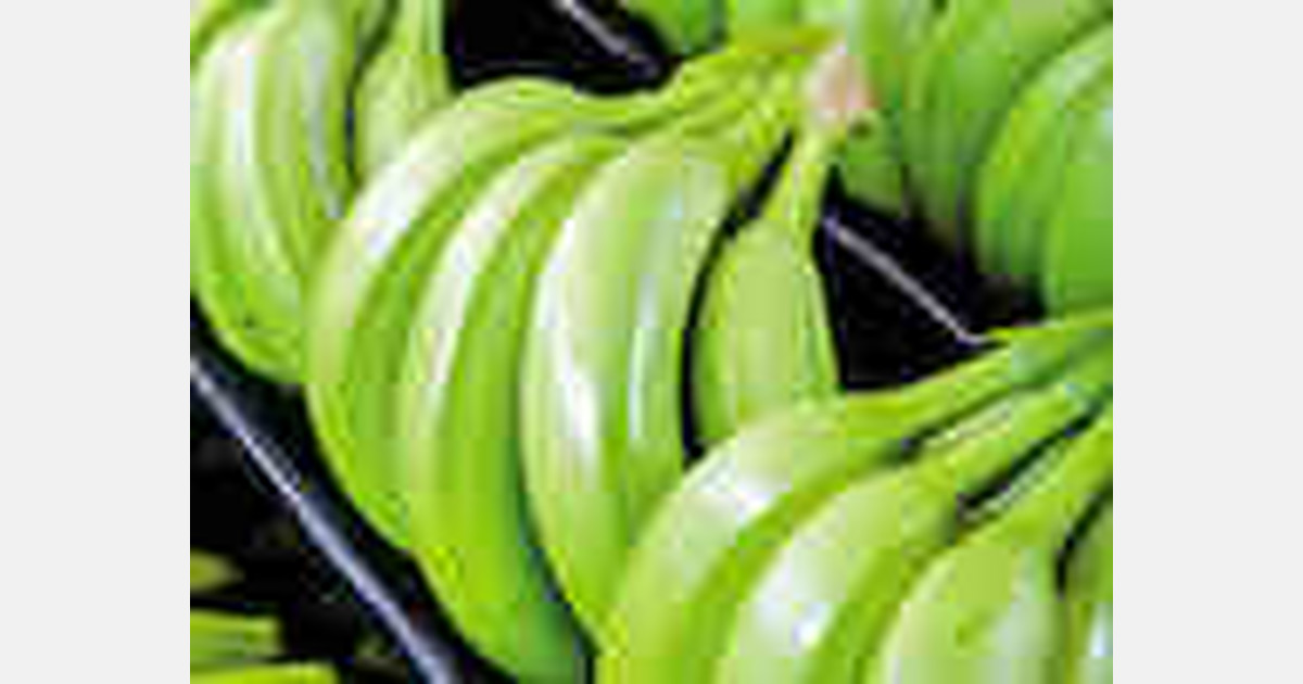 "Bananas from third countries have phytosanitary products that are ...