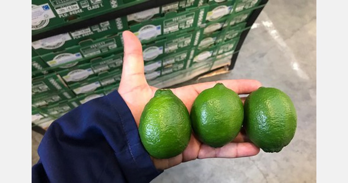 Peru: "We only offer organic limes"