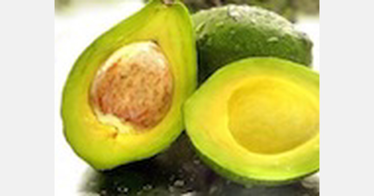 Honduras: Avocado imports down by 2 million dollars