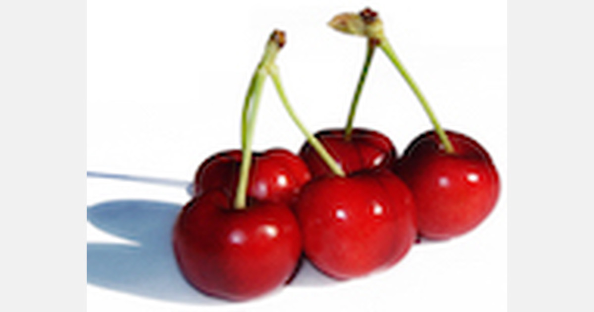Peru seeks to replicate the success of Chilean cherries