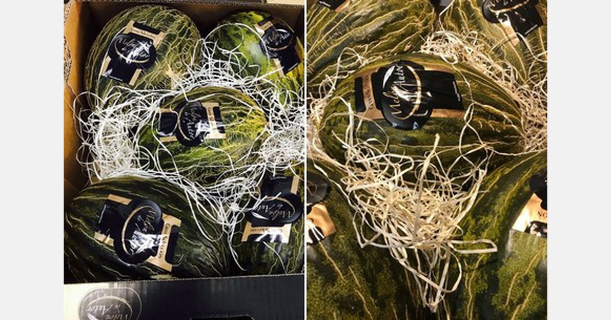 "This year, our sales of Brazilian melons to Spain have doubled"