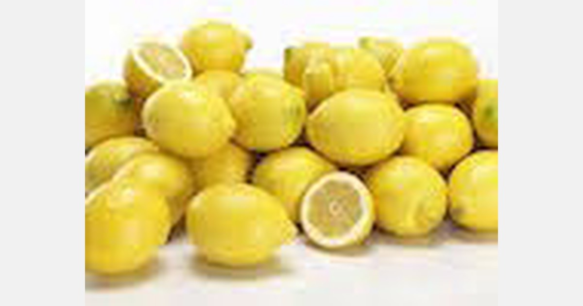 Argentina is working to reduce lemon tariffs in India