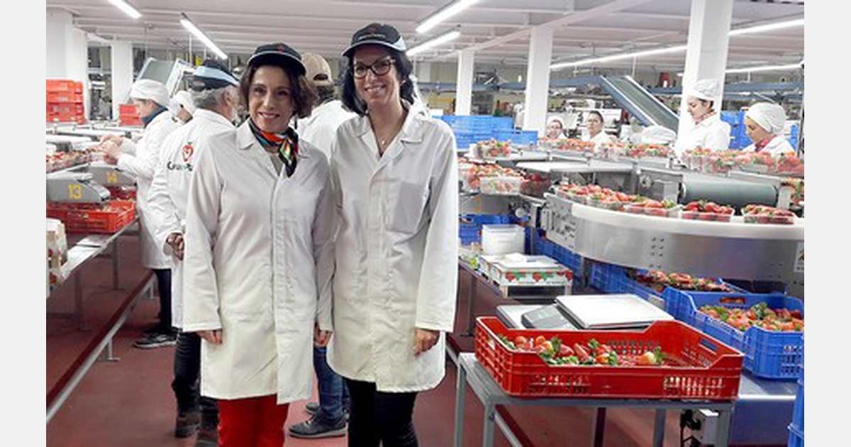 The relevant role of women in the Spanish berry sector