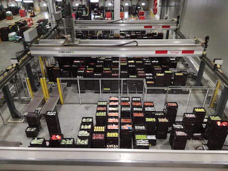 Technological revolution at Polymer Logistics