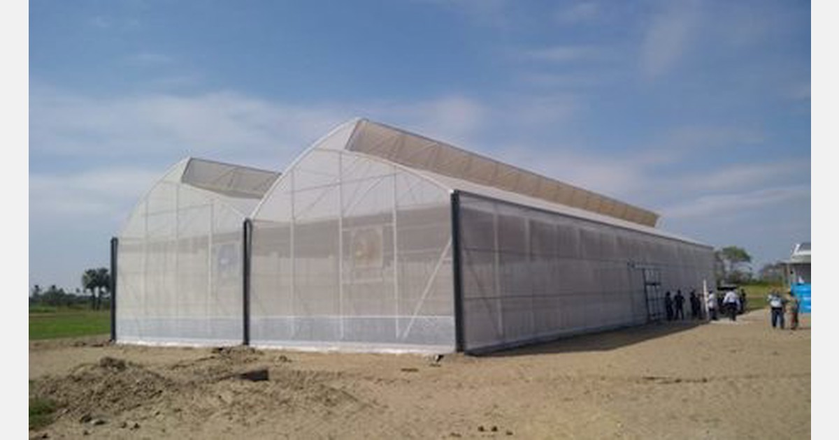 Greenhouse with Spanish technology opens in Peru
