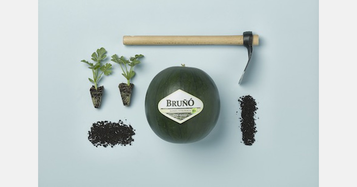Bruñó showcasing its organic melon and its organic black seedless ...