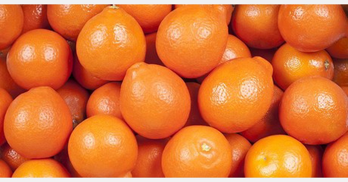 Peruvian tangelo exports in 2019 worth US $14 million