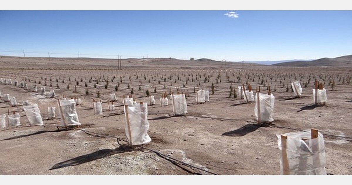Chile's unprecedented drought affects 37,000 farmers