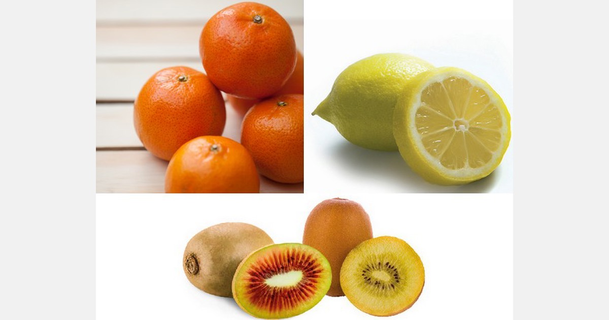 Leanri mandarin yields first harvest - Summer Prim lemon's will come in ...