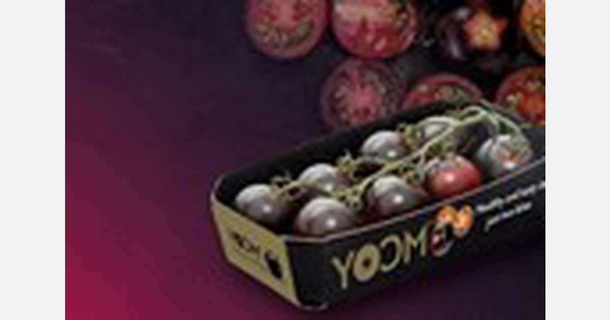 Syngenta presents Yoom, the new "umami" tomato