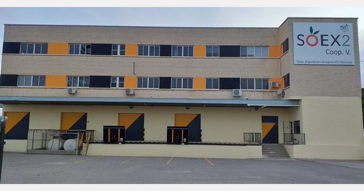 The Spanish citrus cooperative Soex 2 opens a new 3,700 m2 warehouse in Xilxes