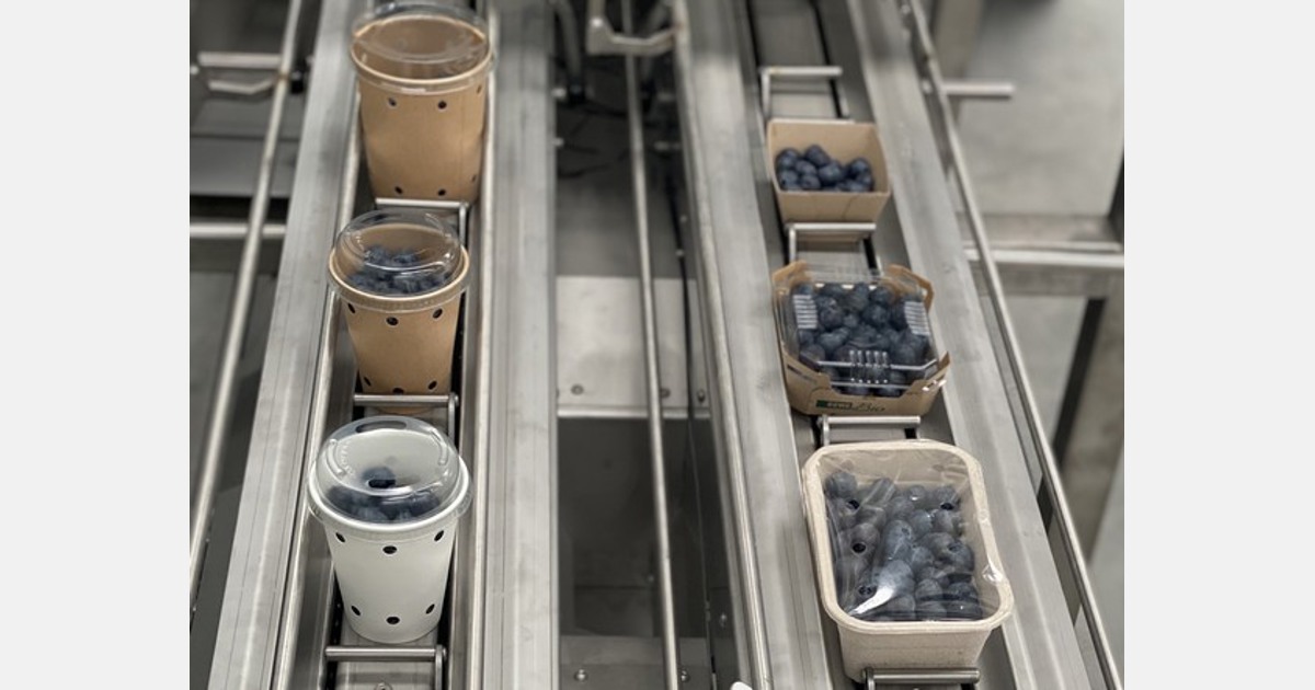 "We adapted our blueberry packaging machine for sustainable packaging"