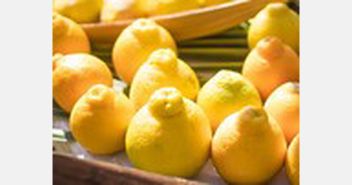 The Peruvian tangelo reached a total of 20 countries in July