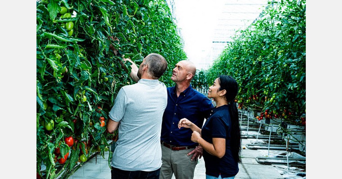 A new control platform for large-scale horticultural companies is born