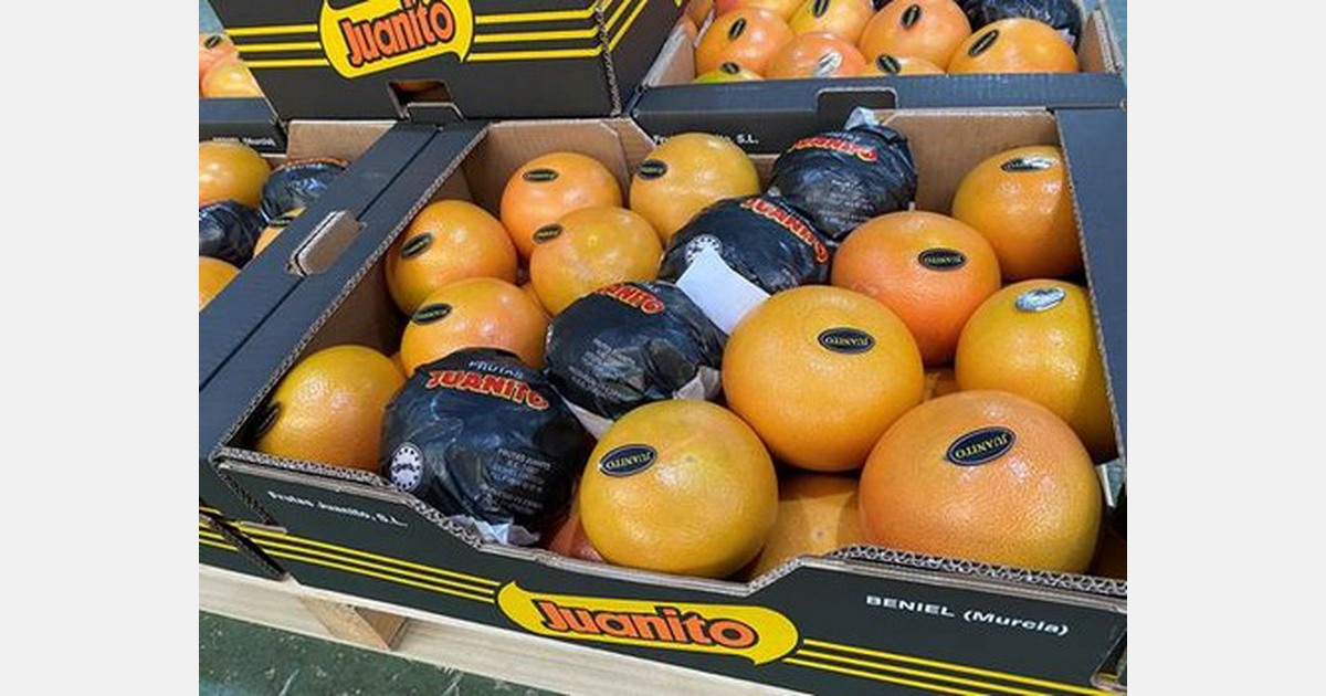 "Large grapefruits of Spanish origin are among the most sought after"